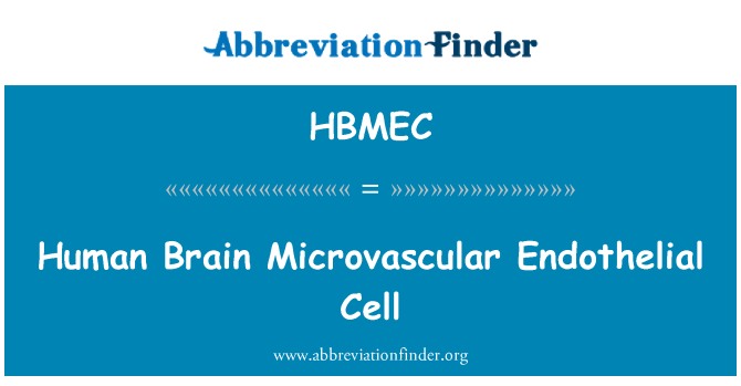 HBMEC Definition: Human Brain Microvascular Endothelial Cell ... HBMEC Definition: Human Brain Microvascular Endothelial Cell ...